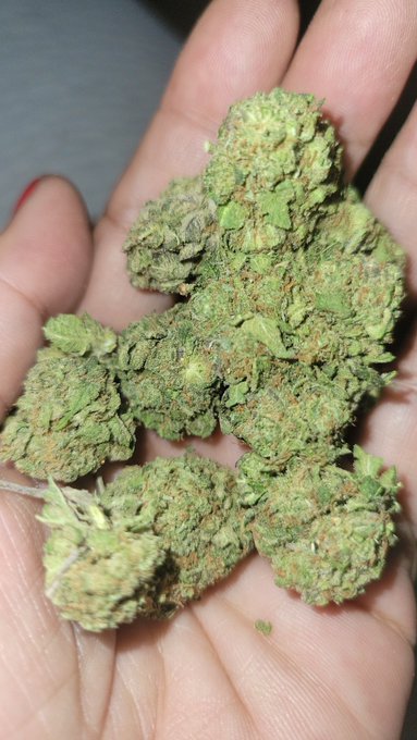 TW Pornstars - Asiankitty420 🏝️. The most liked pictures and videos ...