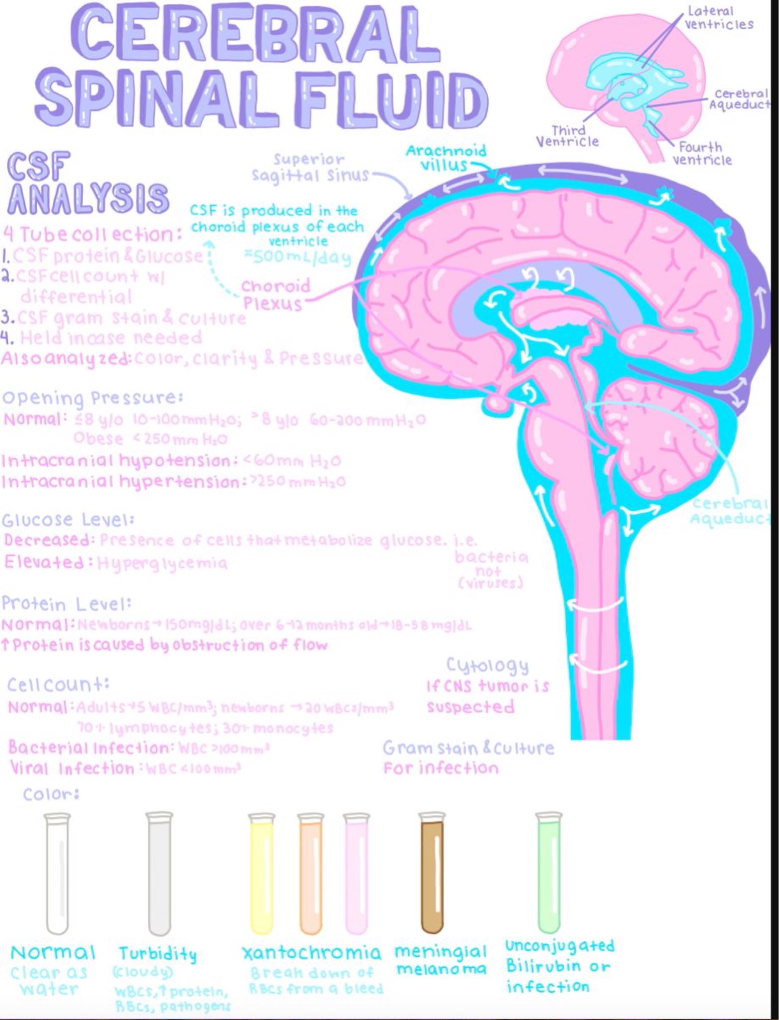 Cerebrospinal Fluid Color