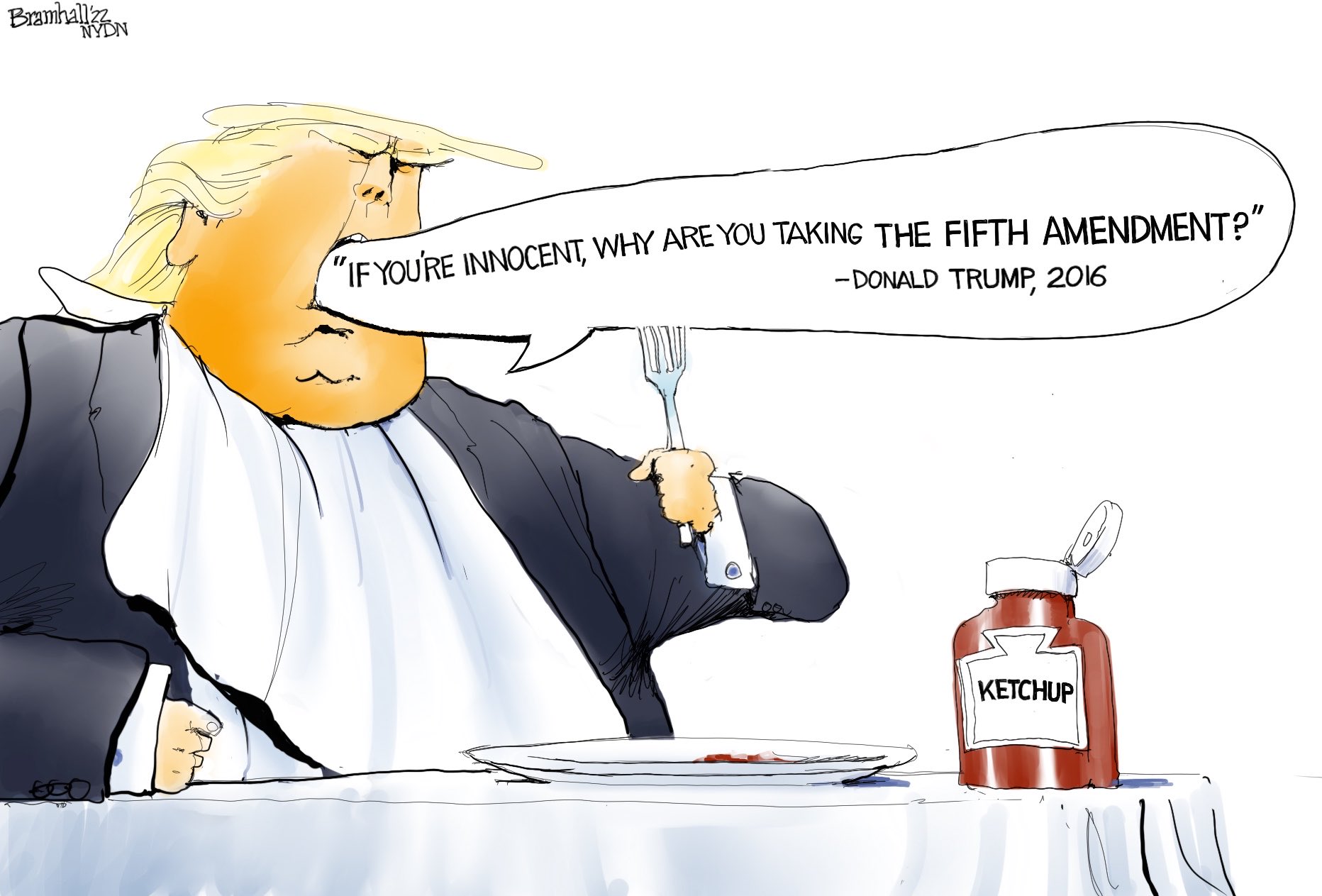 Fifth Amendment Cartoon