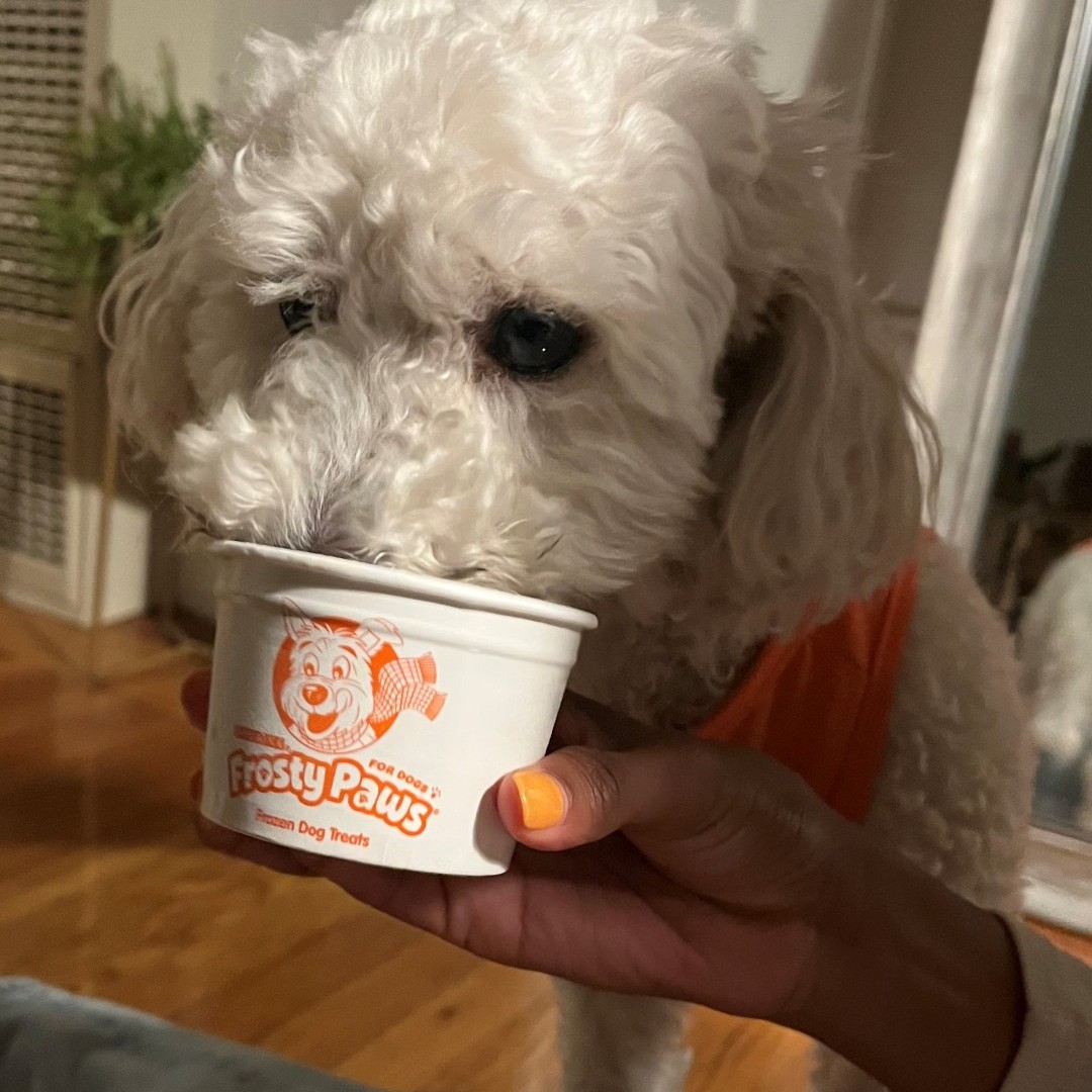 Can Puppies Have Frosty Paws