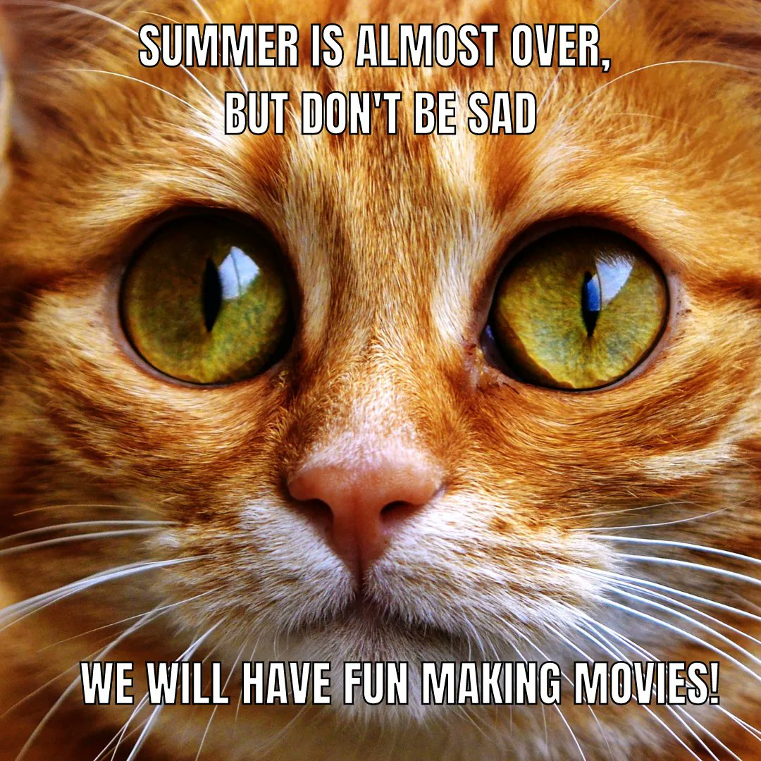 Vacation Almost Over