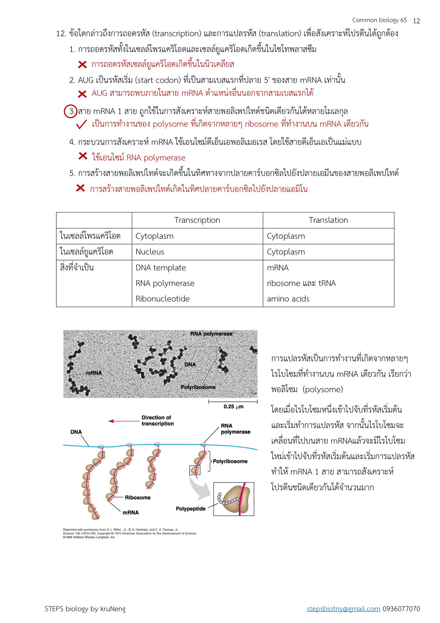 STEPs Biology on Twitter: "เฉลยข้อสอบ #9วิชาสามัญ #alevelbiology ชีววิทยา ปี 2565 สำหรับ #dek66 ...