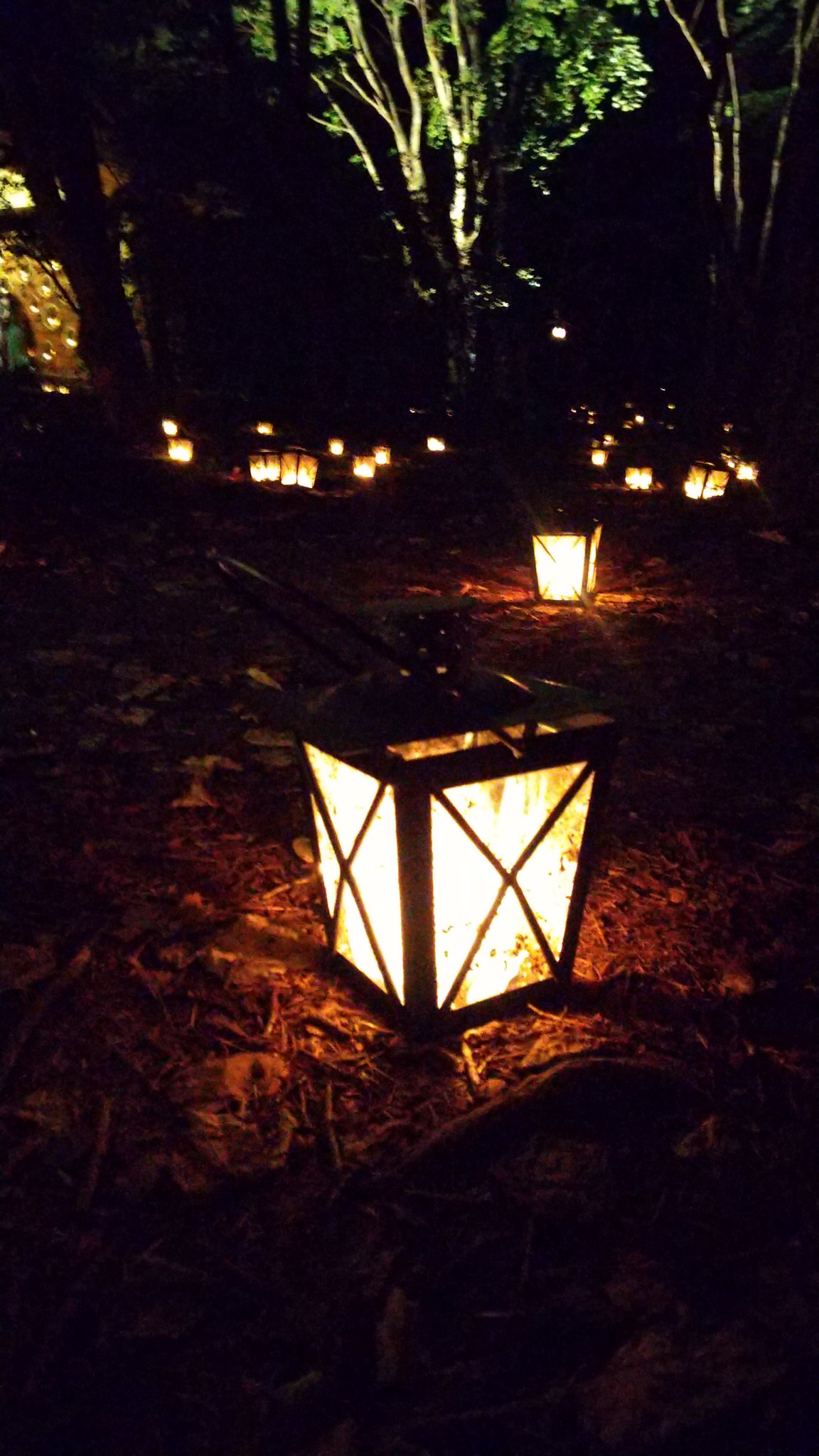 大塚日向子@文京区 (@Bnk_WM) / Twitter