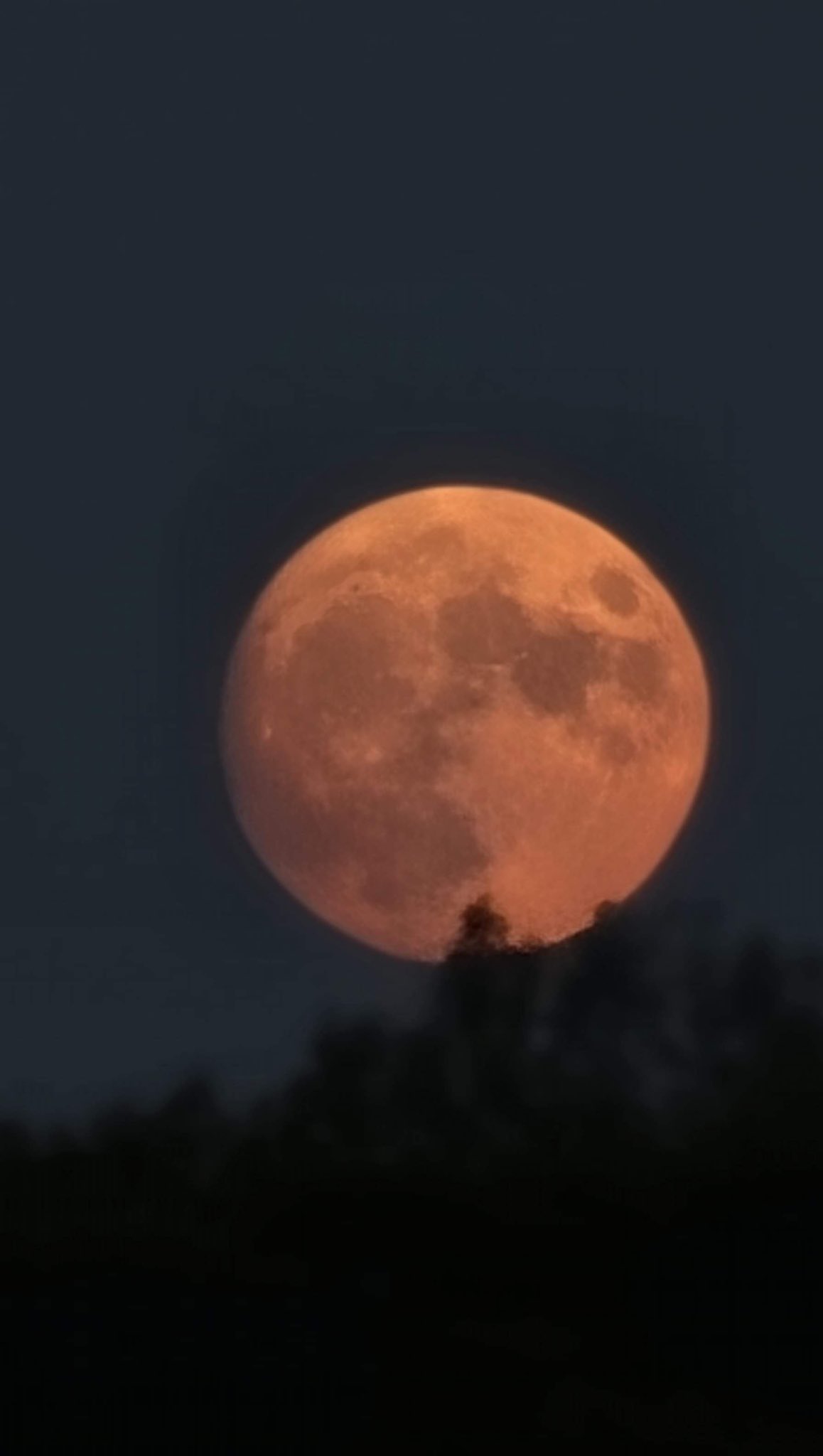 Tumblr Moon Photography