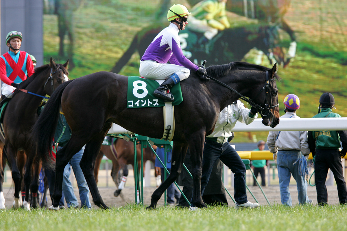バイオ村長@ on Twitter: "RT @netkeiba: JRA重賞未勝利馬のJRA重賞3着内回数 ※1986年以降 11回 コイントス、トウショウシロッコ 9回 シャコーグレイド ...