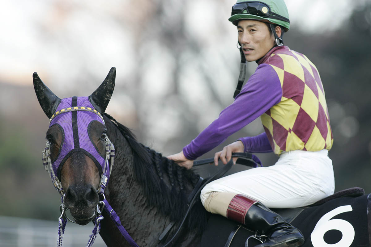 バイオ村長@ on Twitter: "RT @netkeiba: JRA重賞未勝利馬のJRA重賞3着内回数 ※1986年以降 11回 コイントス、トウショウシロッコ 9回 シャコーグレイド ...