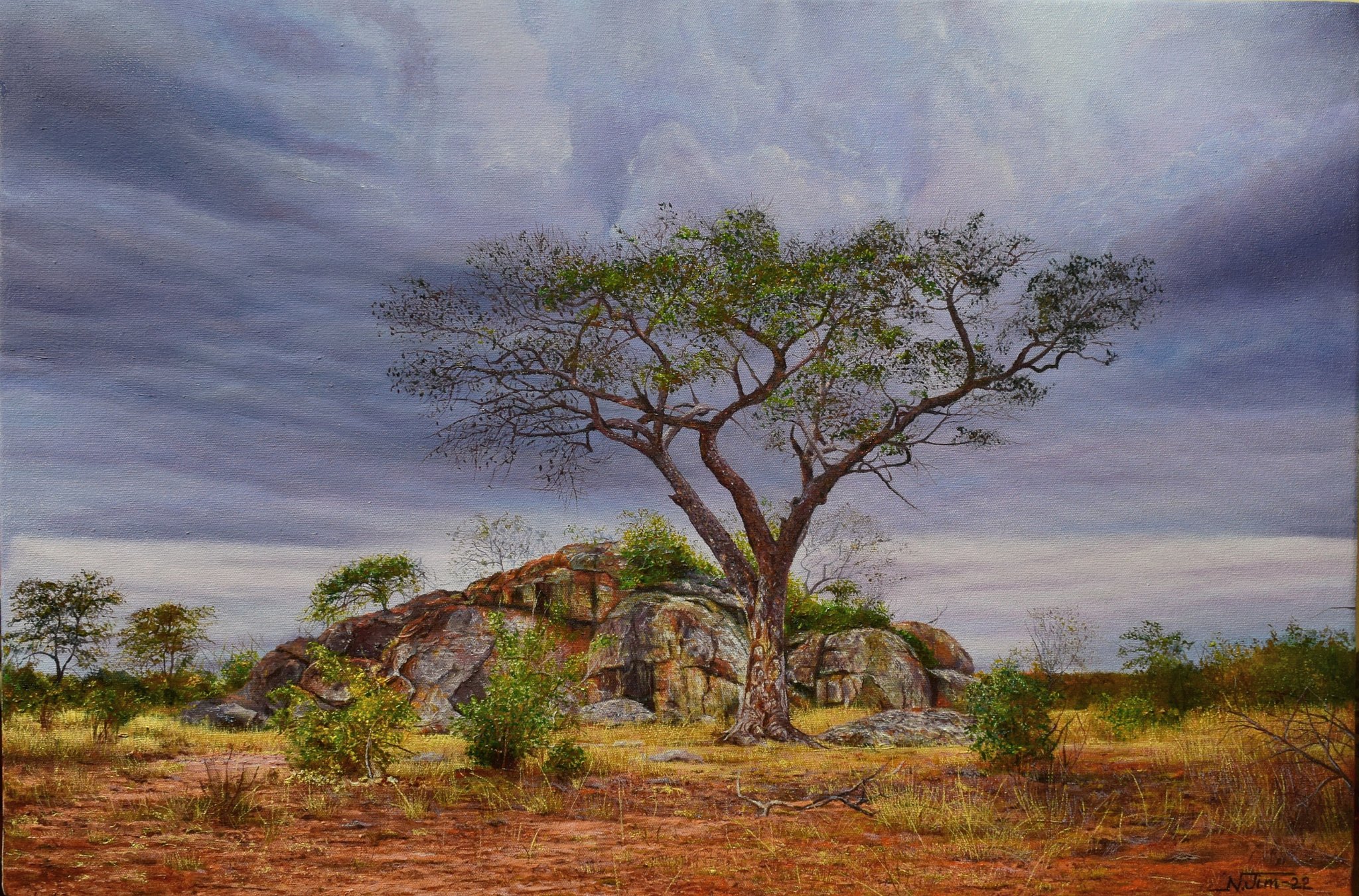 South African Landscape Art