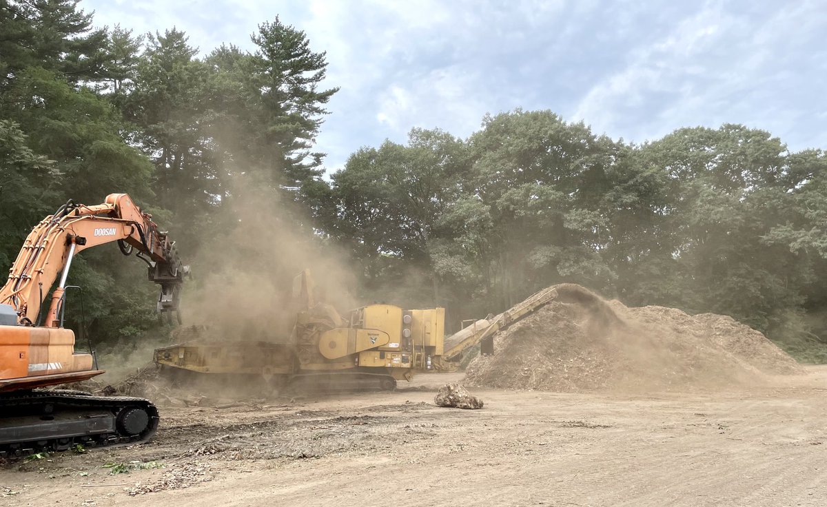 Stanley Forman Photos – The Home of Pulitzer-prize Winning Photographer ...