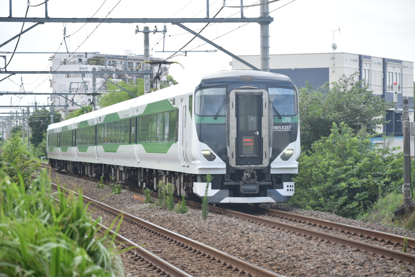 デハ8606(MEIGEO) on Twitter: "10:15に都賀〜四街道間の鎌池踏切で撮ったE257系OM-55編成の特急しおさい81号銚子行です。この塗装で「しおさい」は違和感ある ...