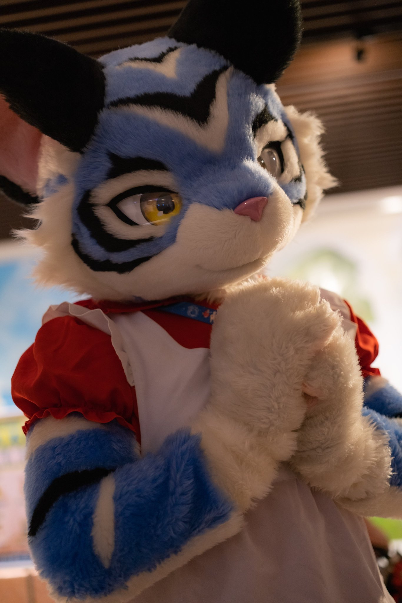 雷奇レーチ(RECHI) on Twitter: "Nyan~主人有什麼需求嗎? 📸@howard5566183 #FursuitFriday https://t.co/1Lec6aRStY ...