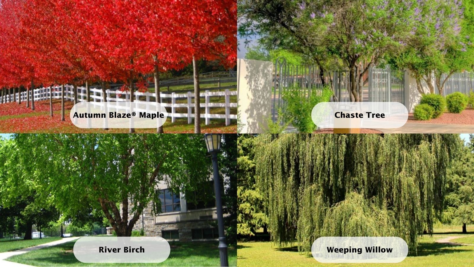 Nature Hills Nursery (@naturehills) / Twitter