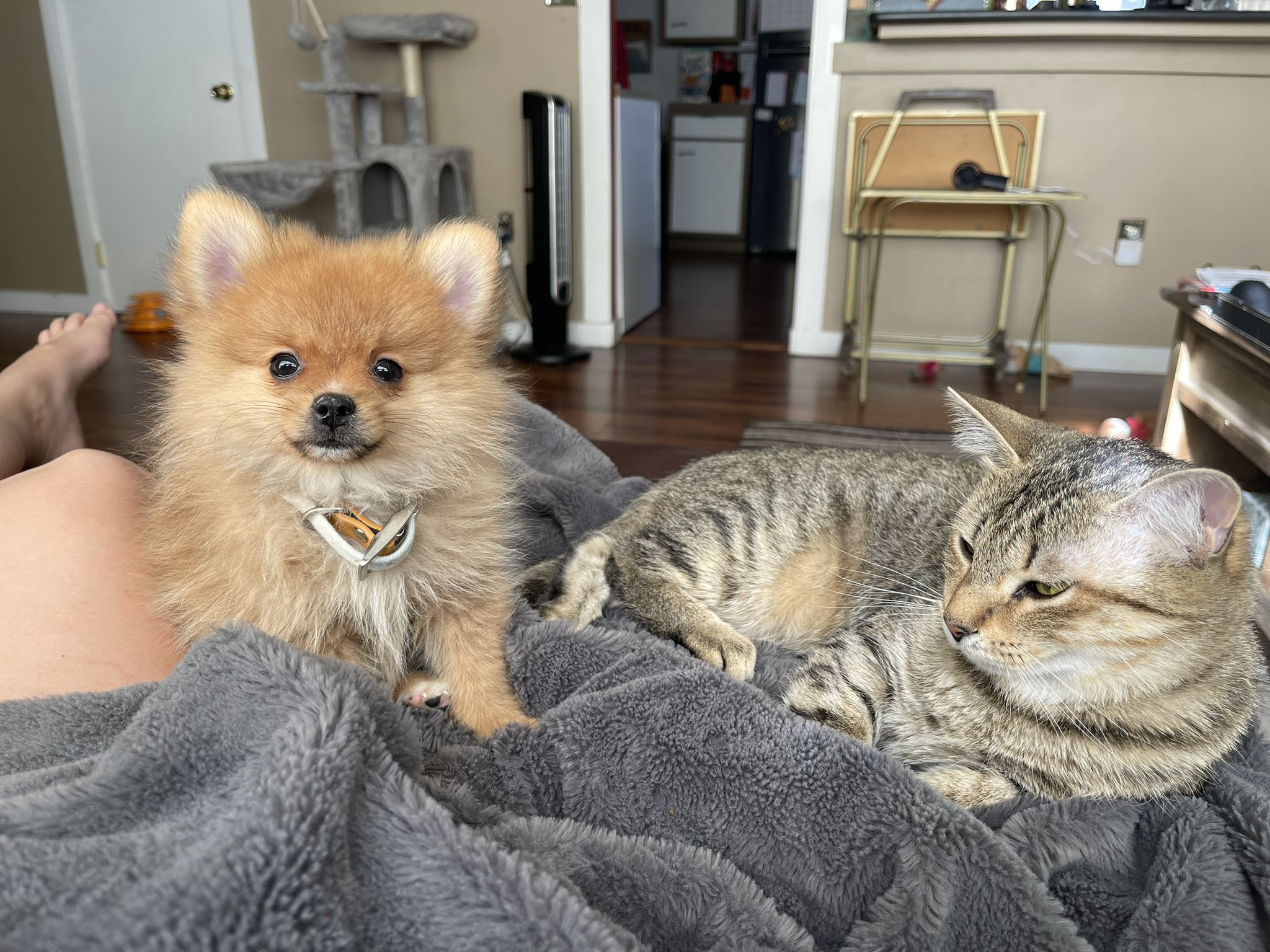 TW Pornstars - 2 pic. Amy Kitty NJ 🌸 ONLYFANS & MORE . Twitter. Meet ...