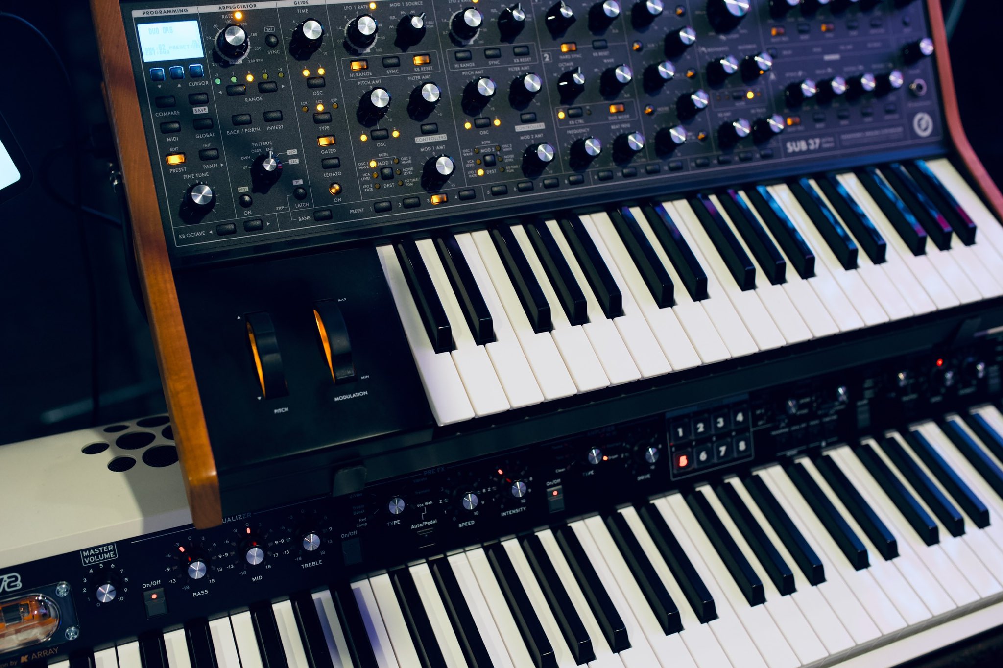 多田三洋 Dusty Fruits Club on Twitter: "おはようございます。ステージと客席が一体となって荒々しく波打つ光景を思い出しながらボーっとしてます。あの瞬間、この景色が ...