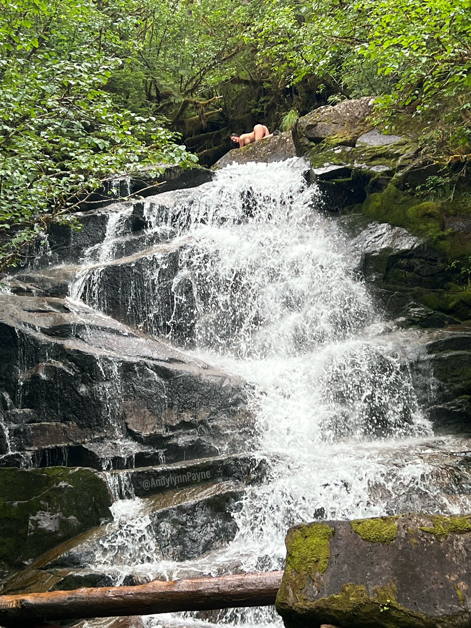 TW Pornstars - Andylynn Payne Θ Trans. Twitter. Wanna F up here? Zoom ...