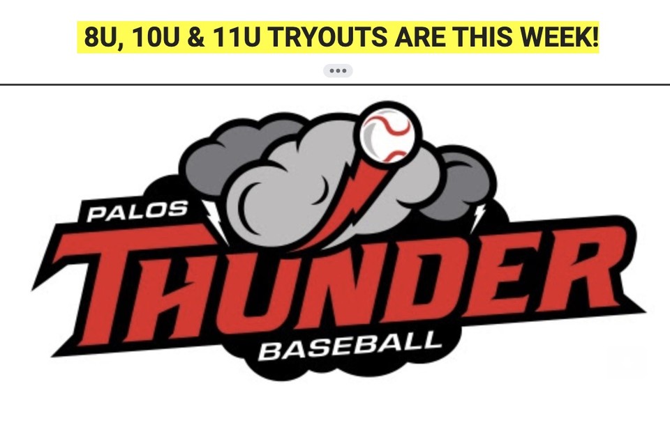 Thunder Baseball Logo