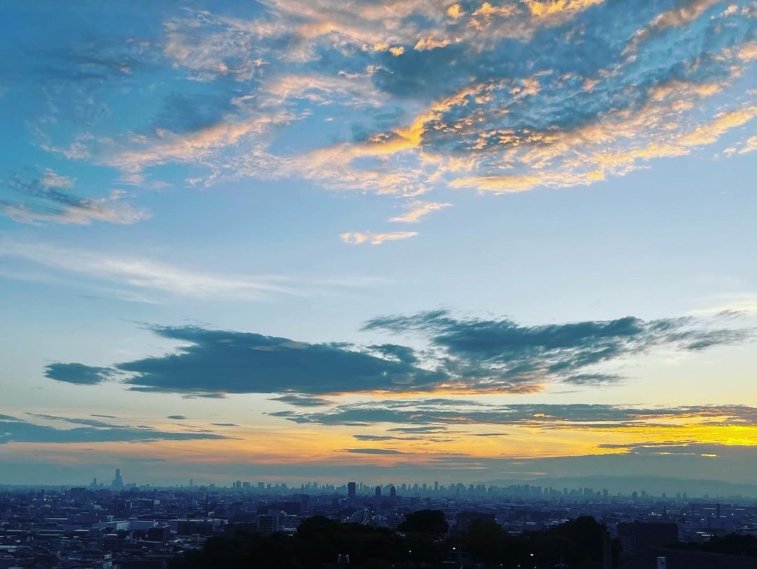 角南三香（すなみ みか）(@mikarin_wizard) - Twilog