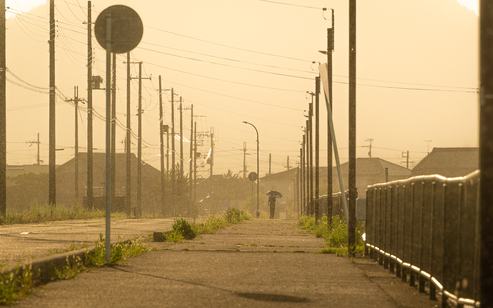 dokubutu on Twitter: "夏の 不安定な気象が 好き過ぎる。 https://t.co/awDiKwjO9L" / Twitter