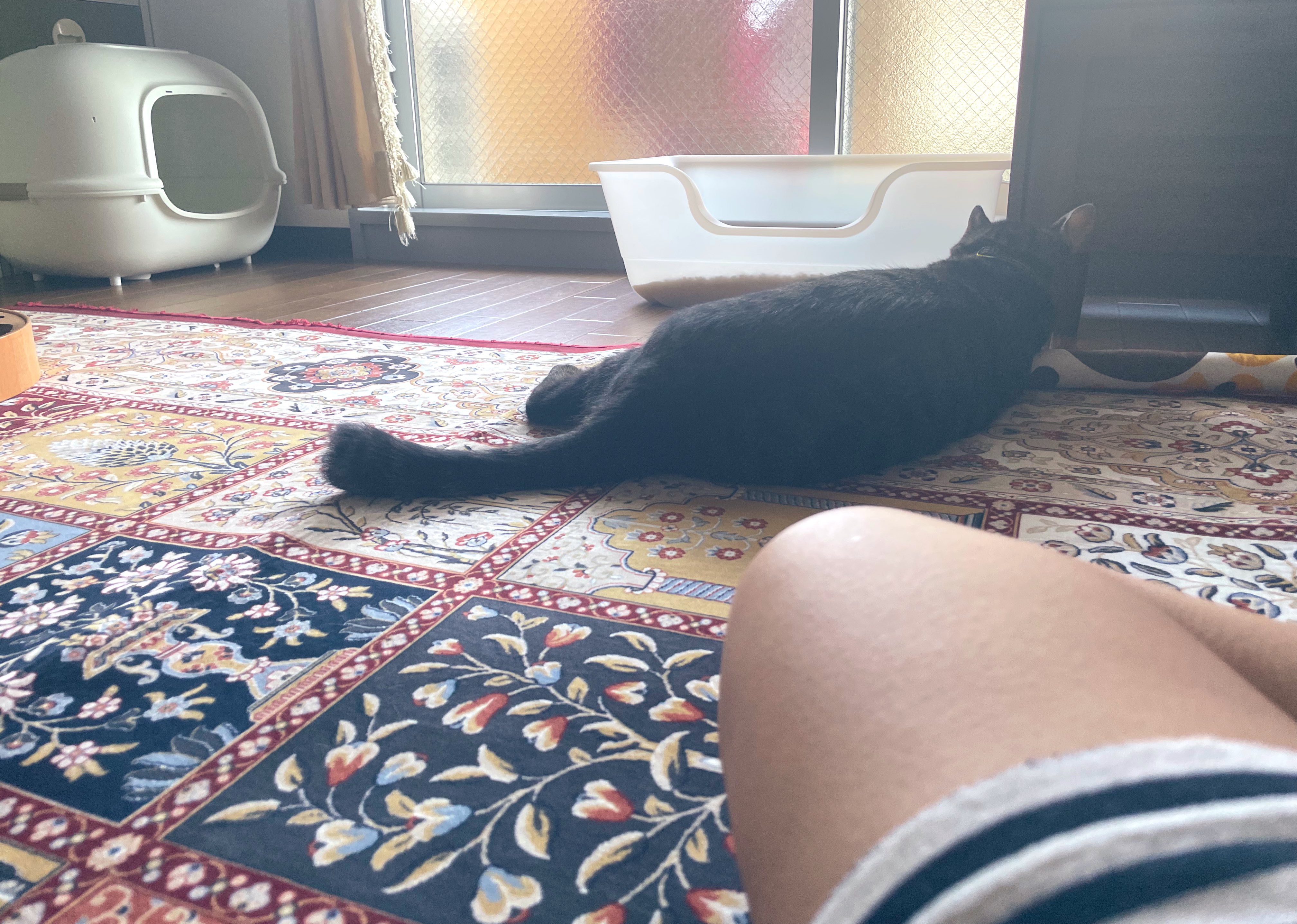 岡里捺李 (@natsuri_ok) / Twitter