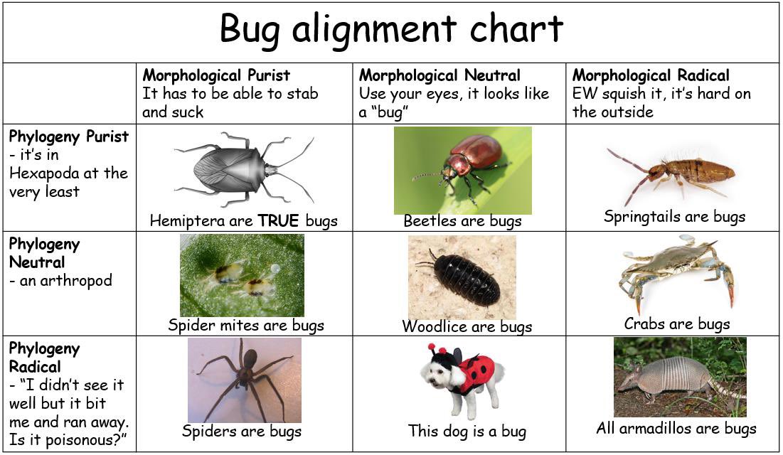Entomology Memes