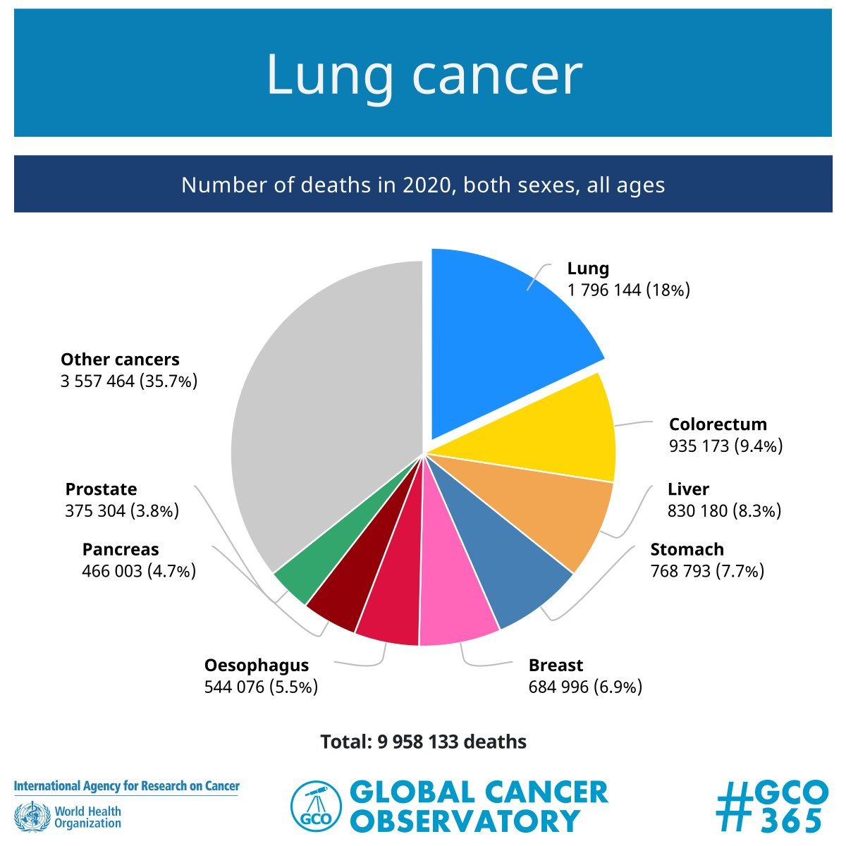 Lung Cancer Chart 2022 Lung Cancer Chart 2022