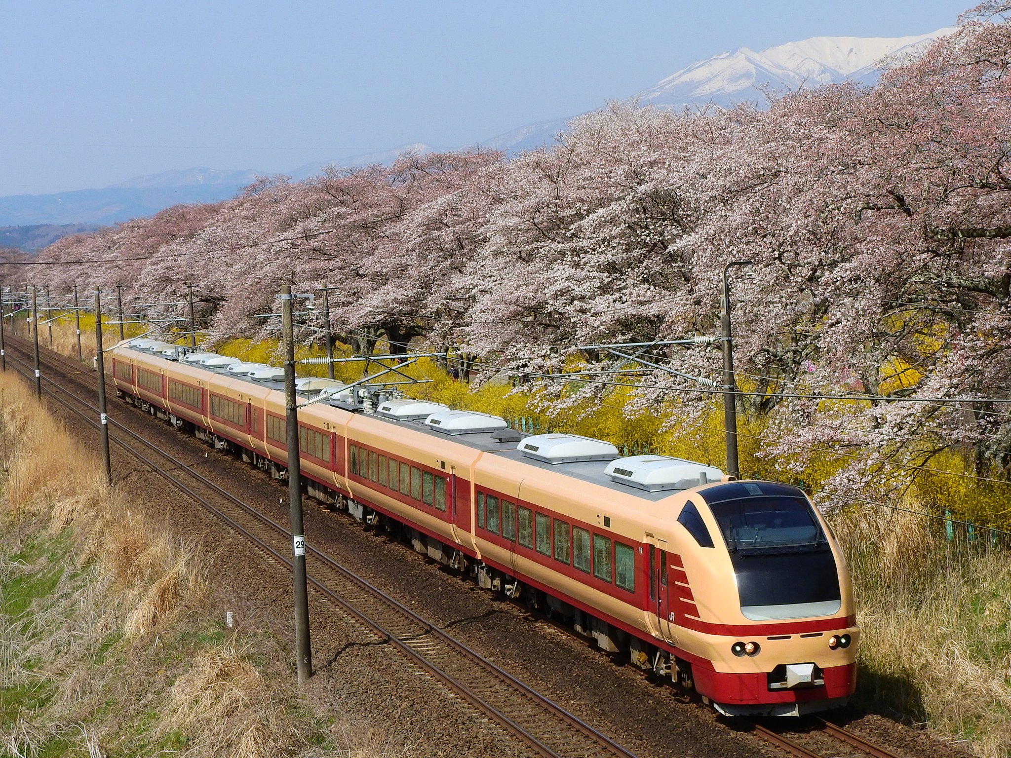 たてやまちとせ on Twitter: "#みんなのE653見せてくれ こんなにバリエーションがあるとは思わなかった。 https://t.co/dopbSsgZud" / Twitter