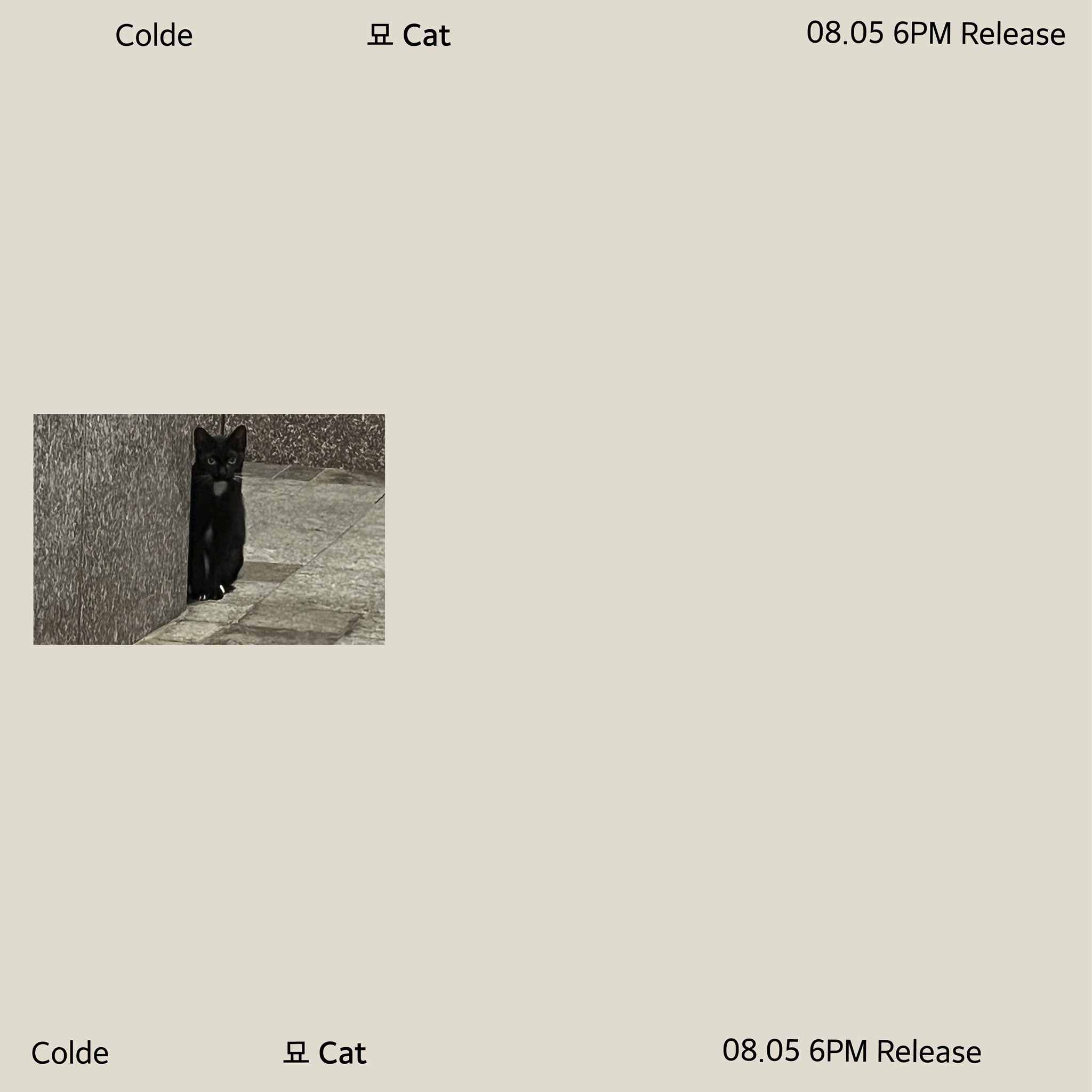 WAVY on Twitter: "[SINGLE] Colde - 묘 (Cat) 22 08 05 6PM (KST) #Colde #콜드 #묘 #cat #wavy # ...