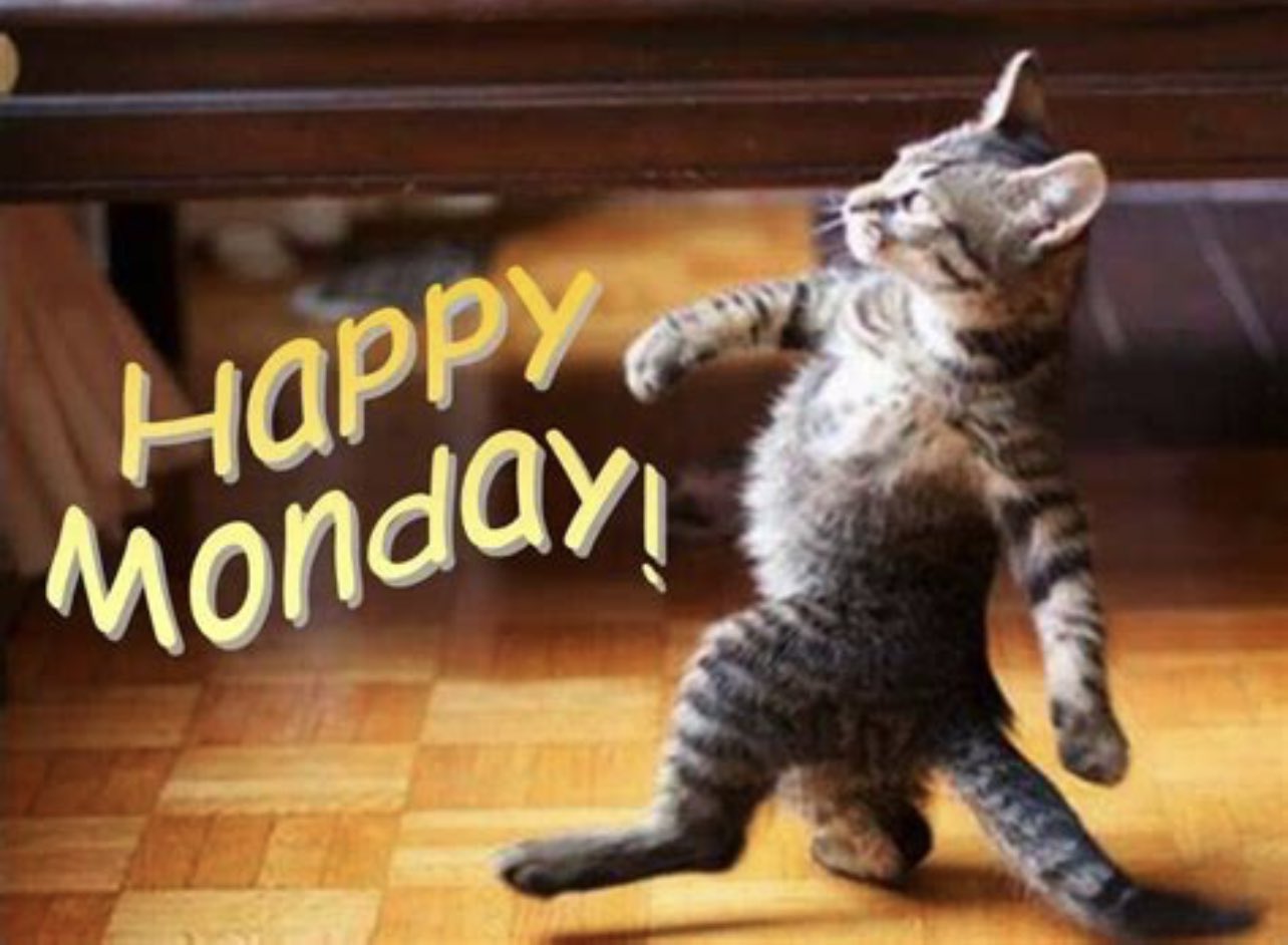 Happy Monday Cat Meme