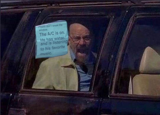 cats mcgee (human arc) on Twitter: "RT @MagictheSimpso1: @Thatoneguy64 https://t.co/QbzYYBmsrz ...