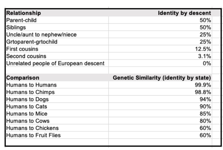 Dna Similarities Between Humans