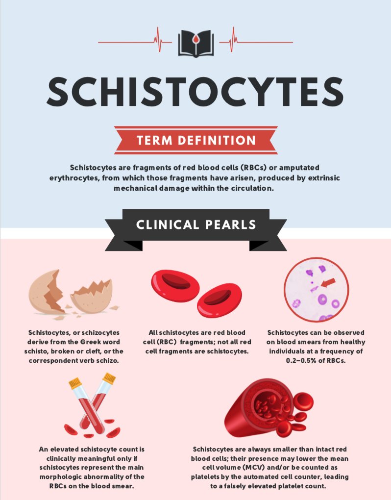 Schistocyte