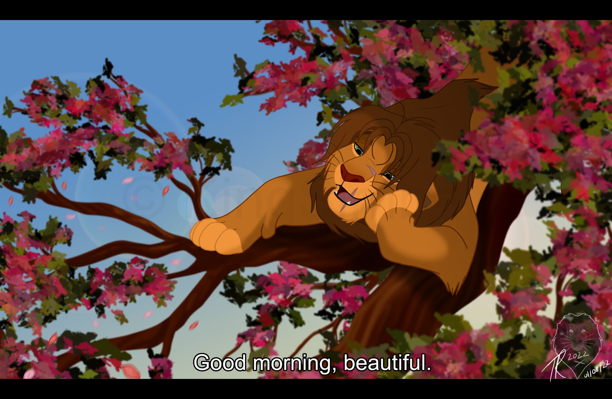 Kopa Sleeping With Simba