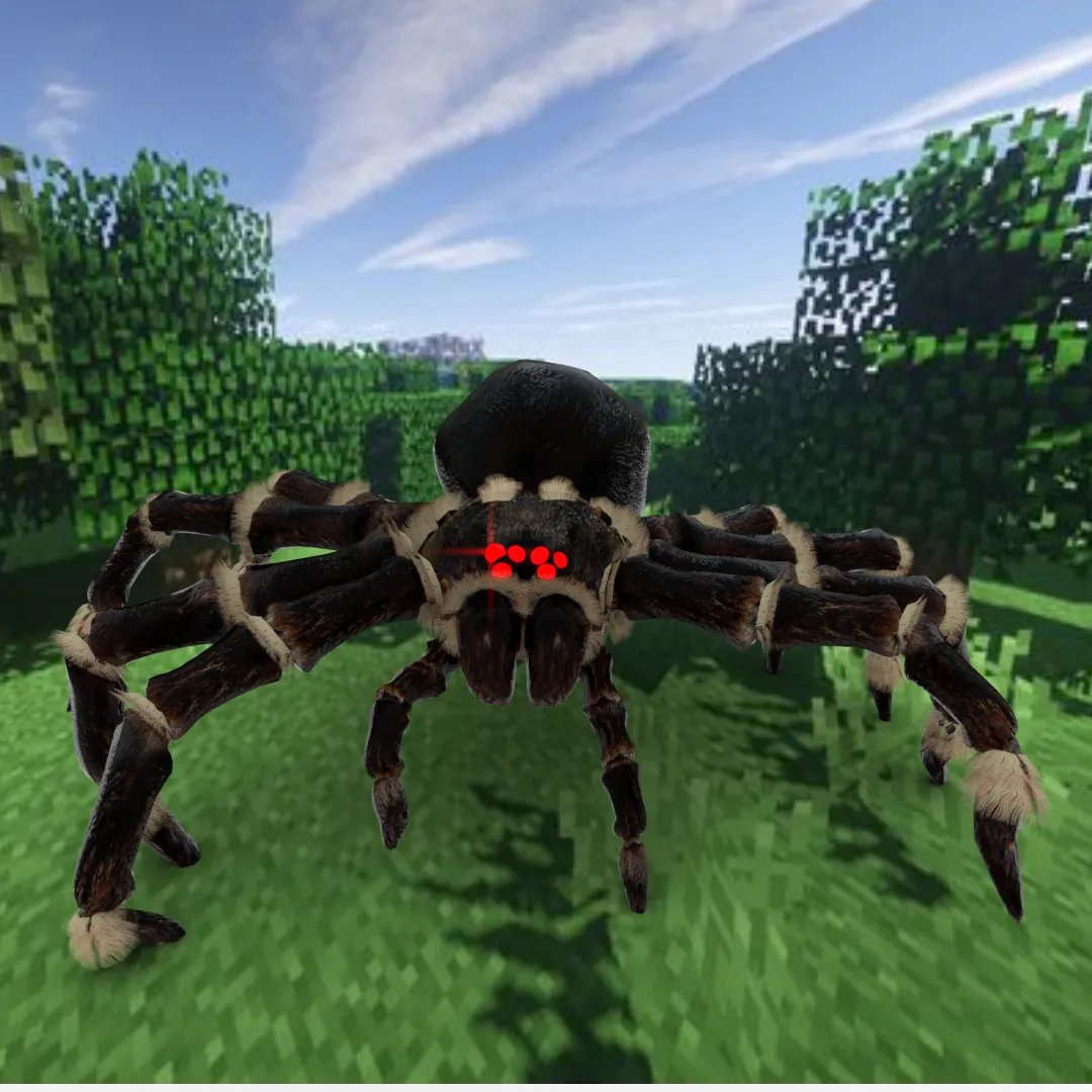 Minecraft Spider Meme
