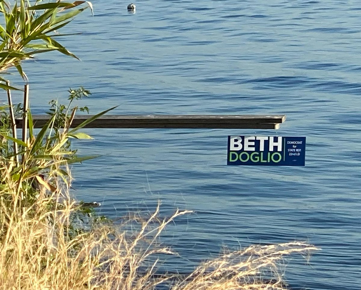 Beth Doglio | Democrat for State Rep – Democrat for State Rep. 22nd LD