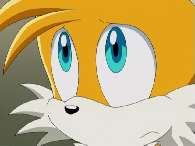 Tails The Fox Sonic X Crying