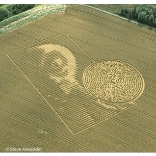 Alien Face Crop Circle