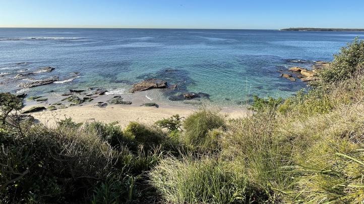 Walken - PUBLIC BETA is Live! on Twitter: "Share your daily Walken tracks with us 😍 https://t.co ...