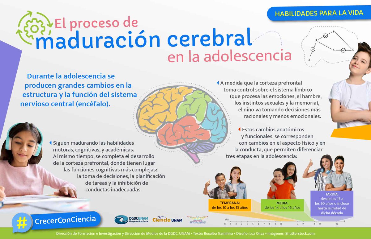 Ciencia Unam On Twitter ¿qué Sucede En El Cerebro De Las Y Los