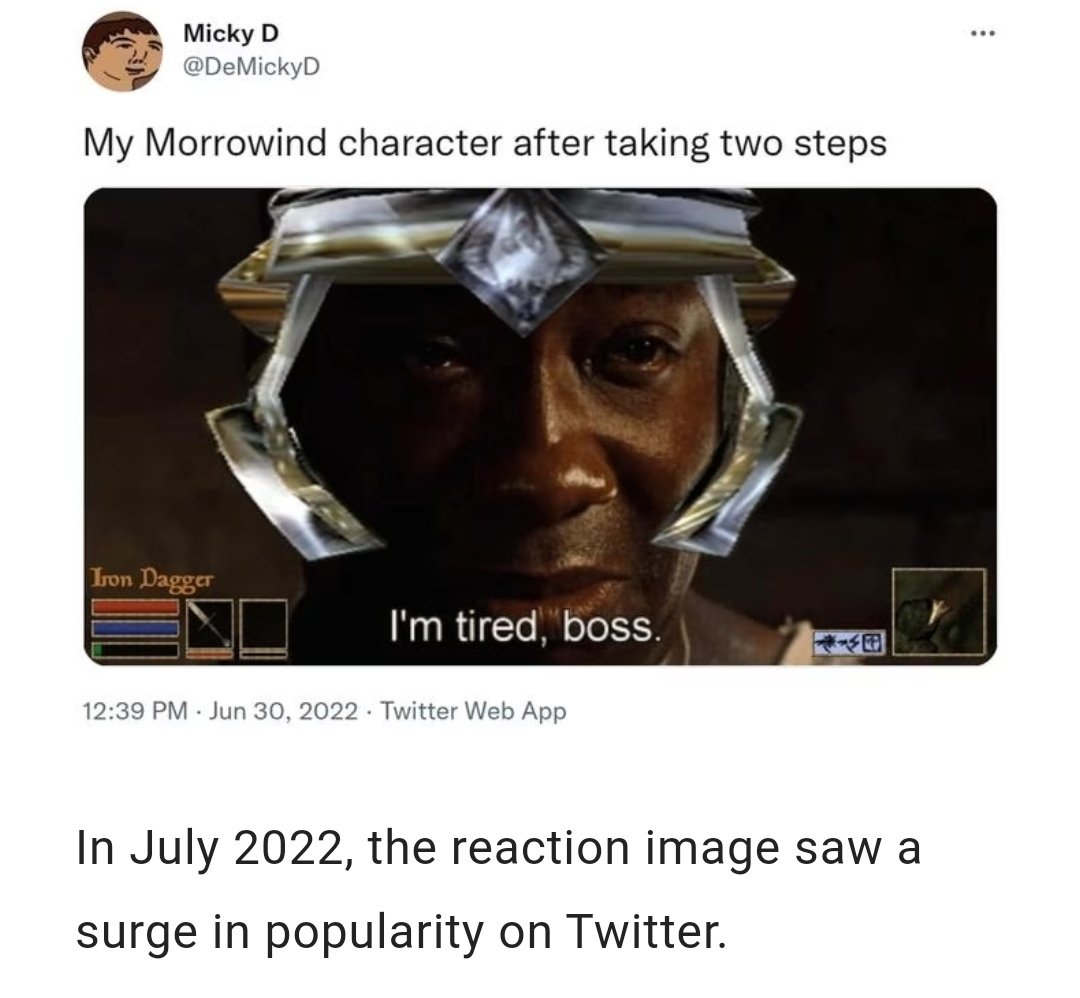 Morrowind Memes