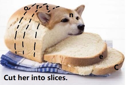 A Dog That Looks Like A Loaf Of Bread