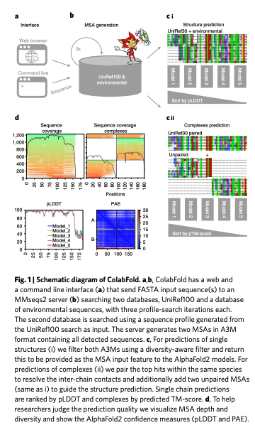 BioDecoded on Twitter: "ColabFold: making protein folding accessible to all | Nature Methods ...