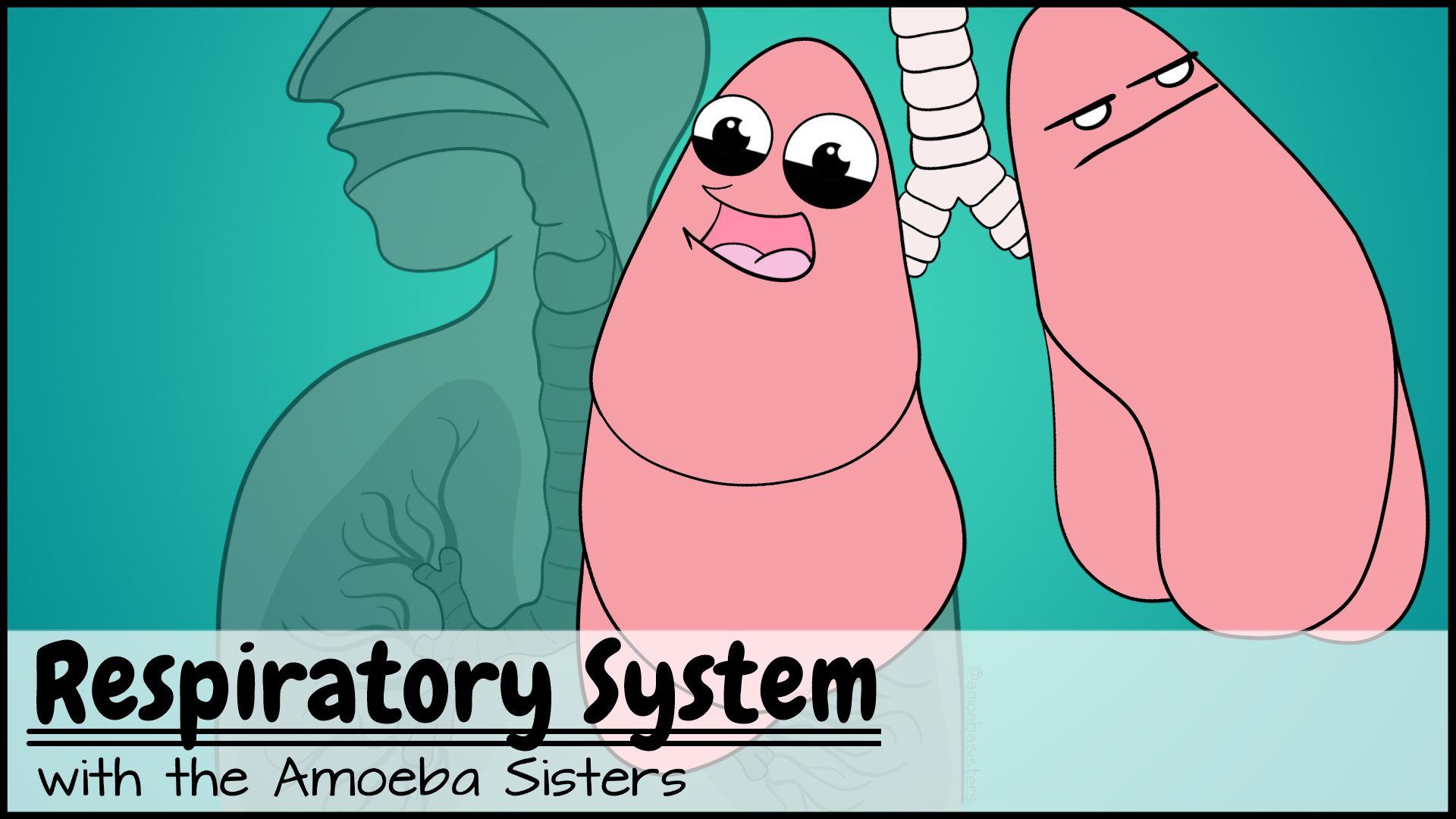 Amoeba Sisters on Twitter: "Thanks to our amazing community, our ...