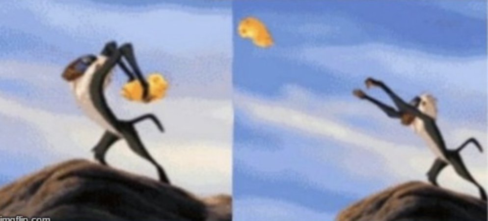 Lion King Rafiki Gif Throw