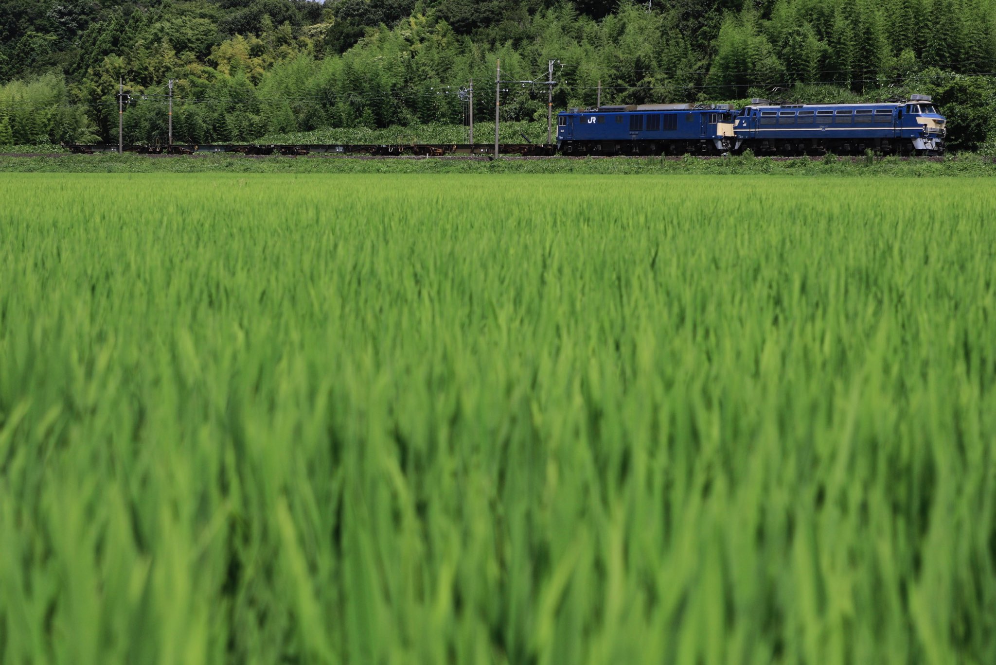 Tynpn (@tynpn23_sgsyo) / Twitter