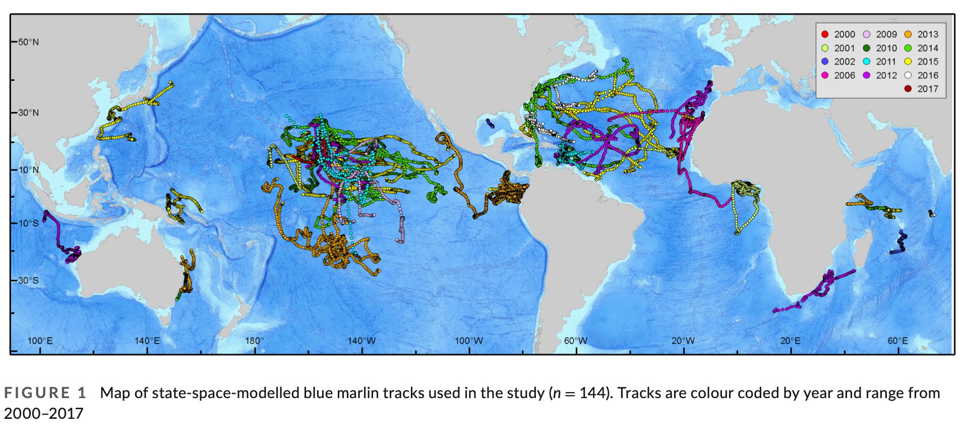 Blue Marlin Habitat Map