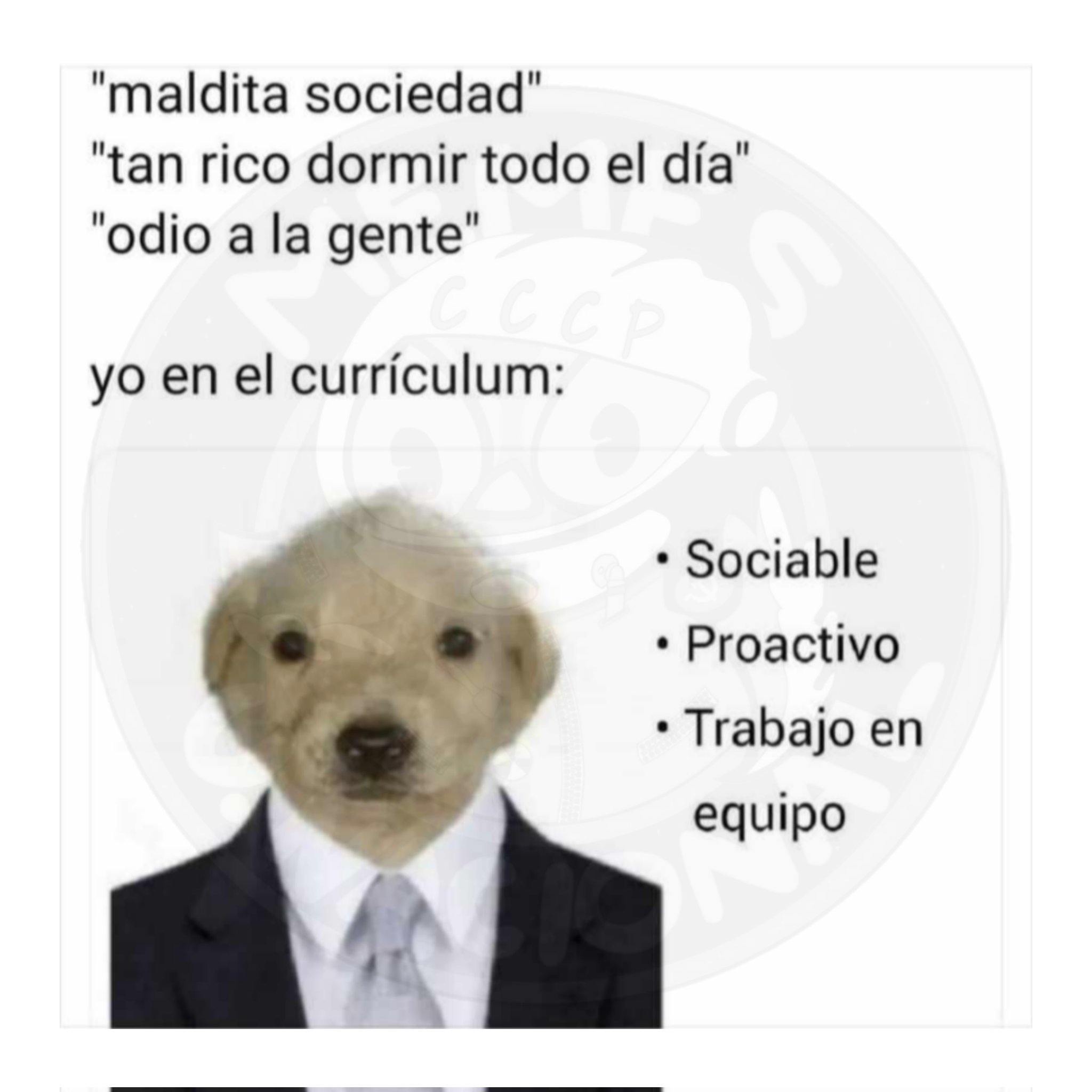 Odio Mi Trabajo Meme Cesar Zarzycki Mar Del Plata, Provincia De