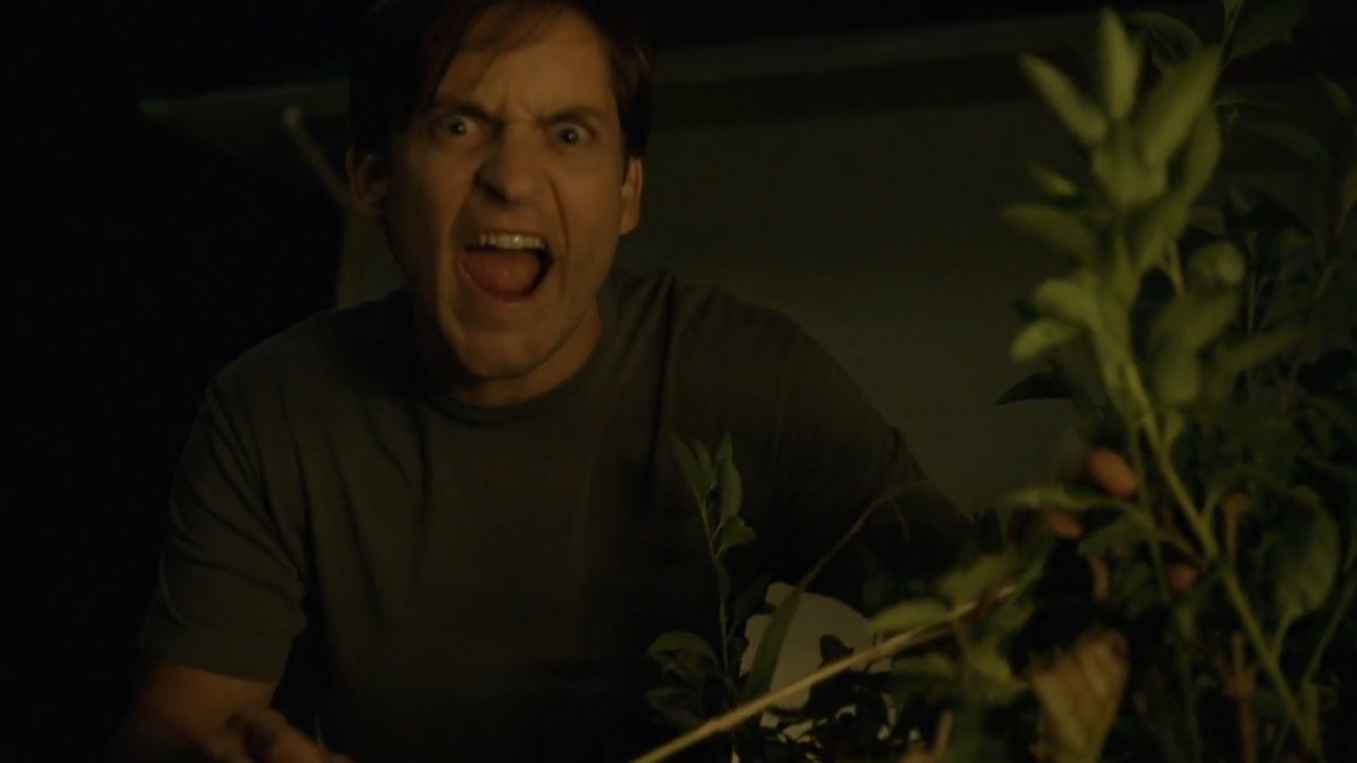 Tobey Maguire Screaming Draw Tobey Maguire!