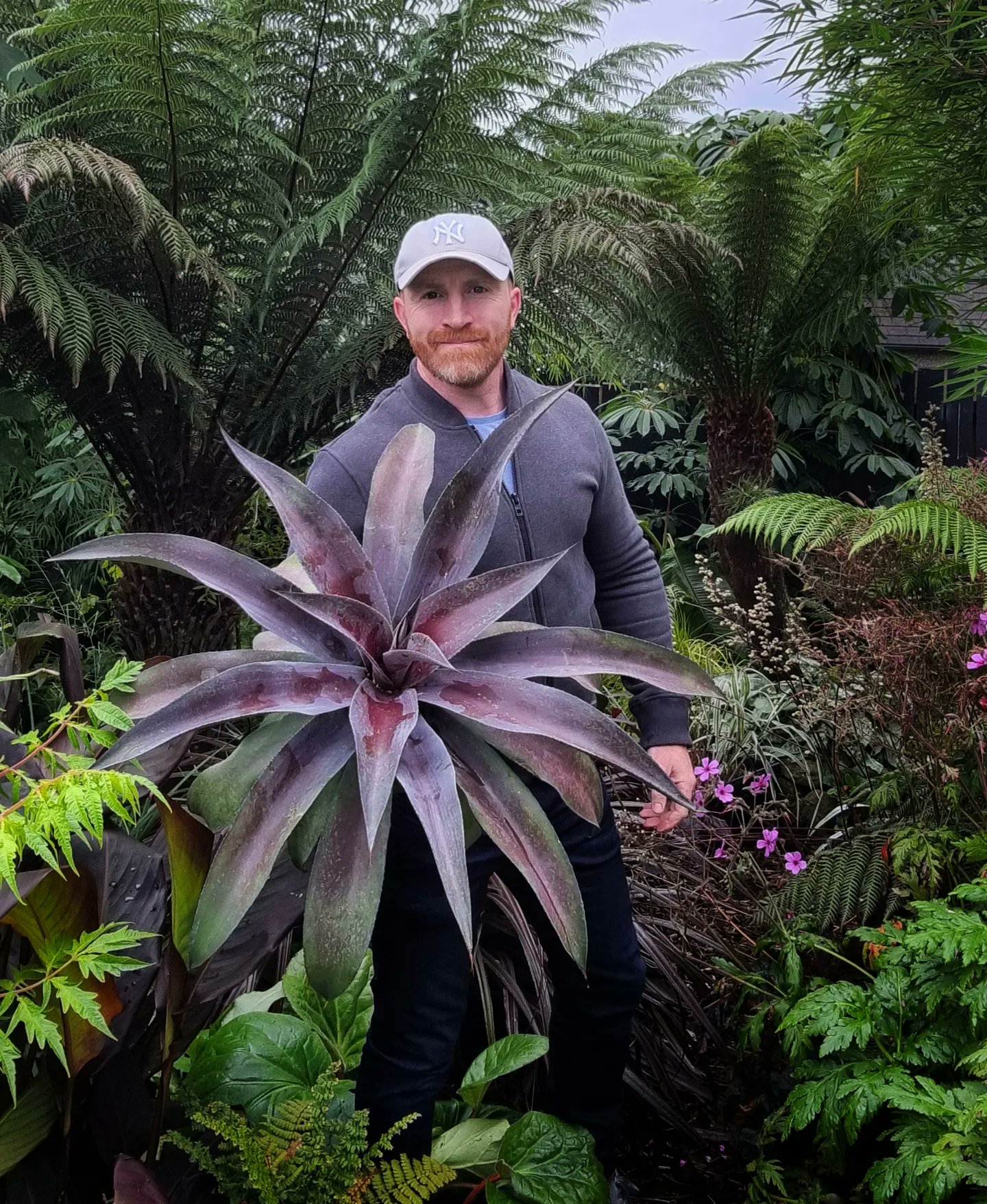 Mission Mars Monster