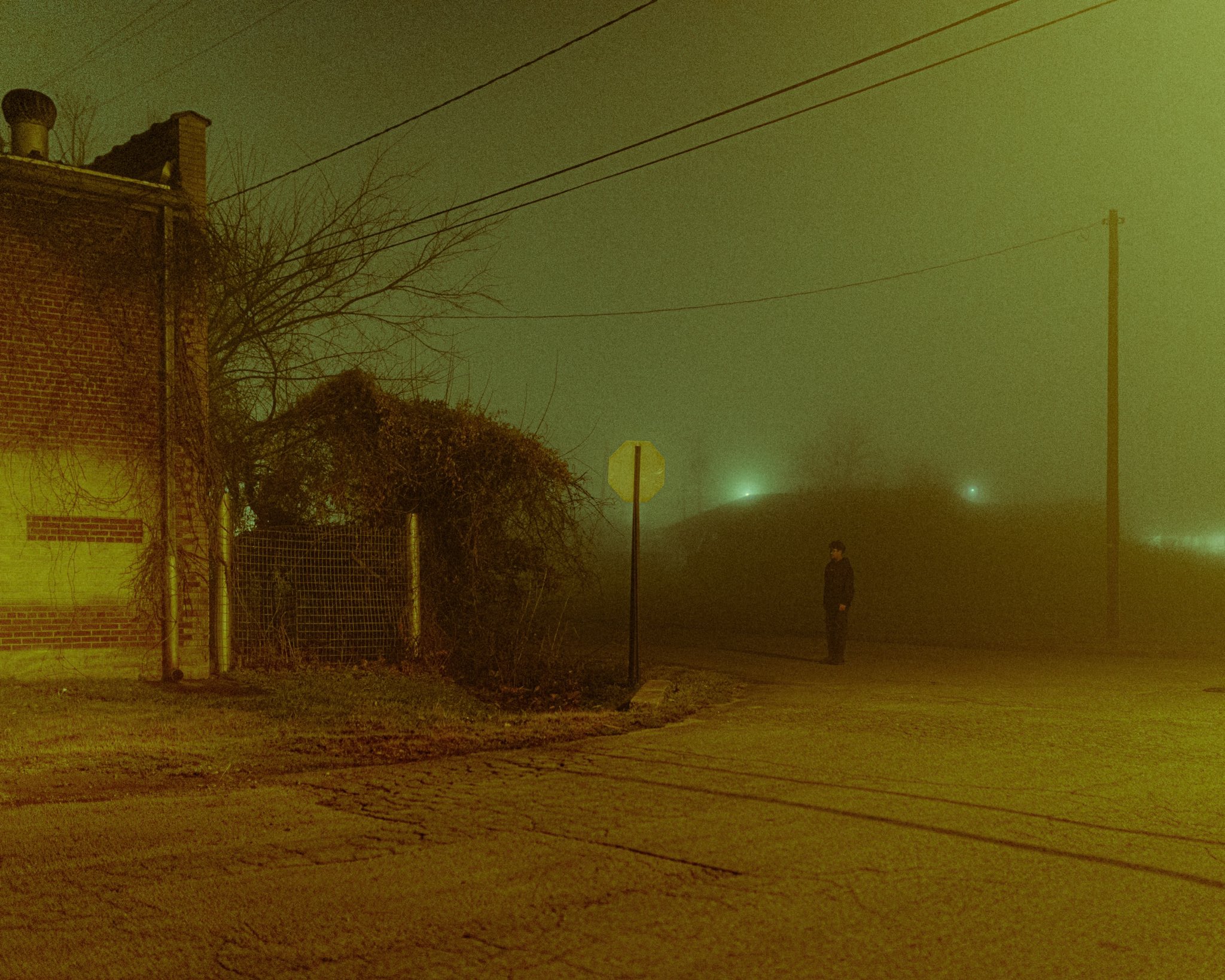 Sandy Marwan (@acatalepsyfleur) / Twitter