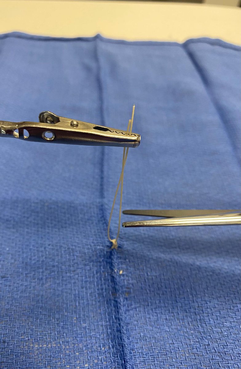 🧵regarding what we in the US often call 'suture scissors', but which ...