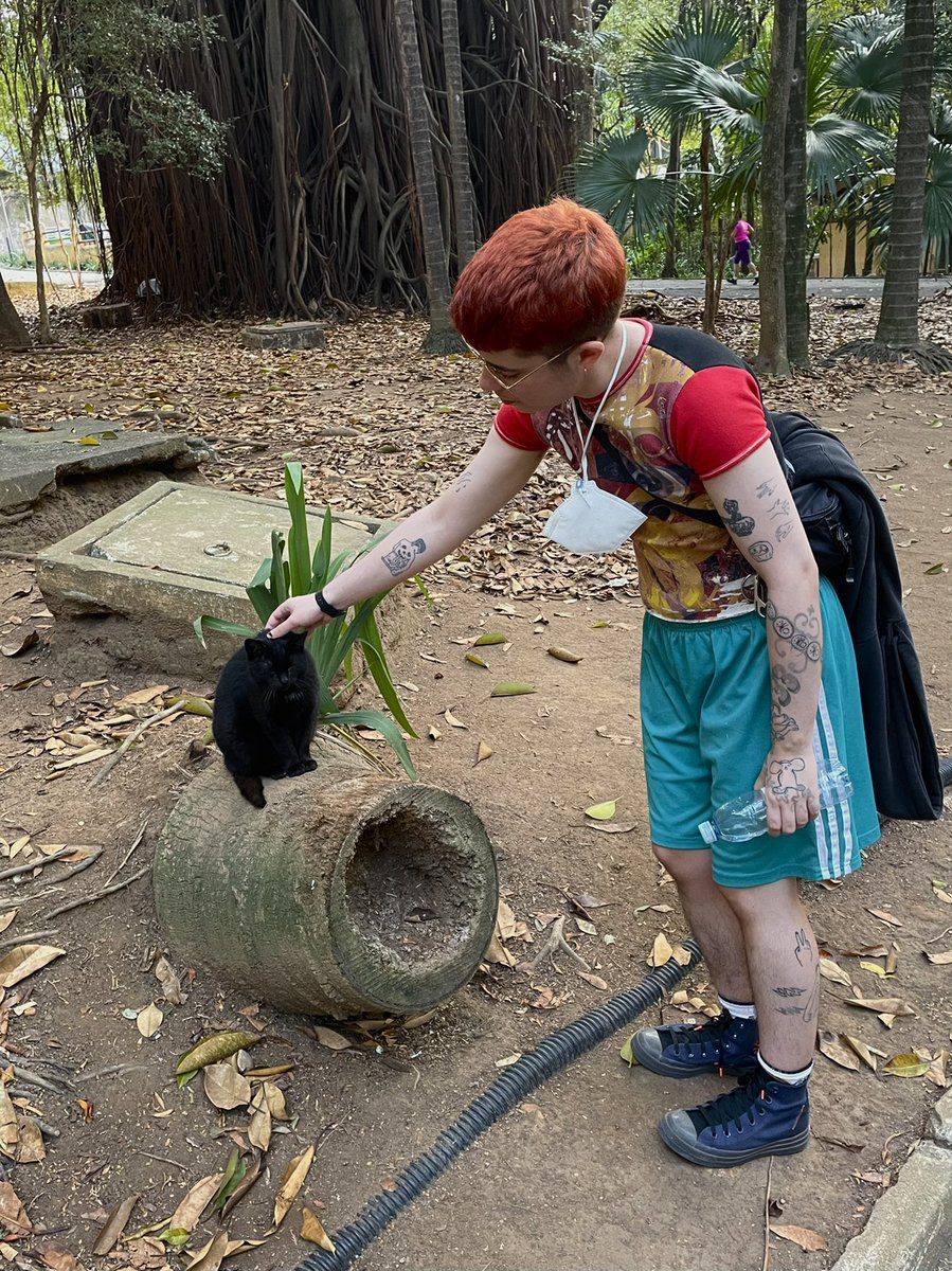 「mabel brasil tour 」|mabelの漫画